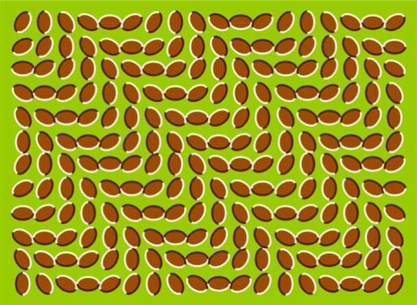 4 Optiske illusioner der snyder dig! - Infohat